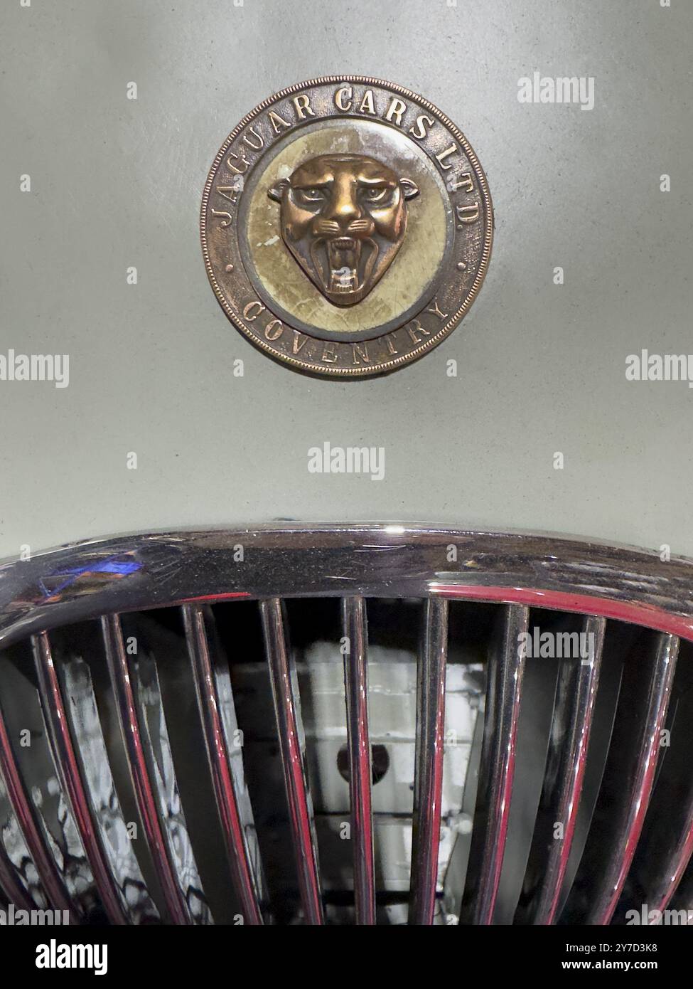 Historic old coat of arms logo with head of Jaguar and lettering Jaguar ...