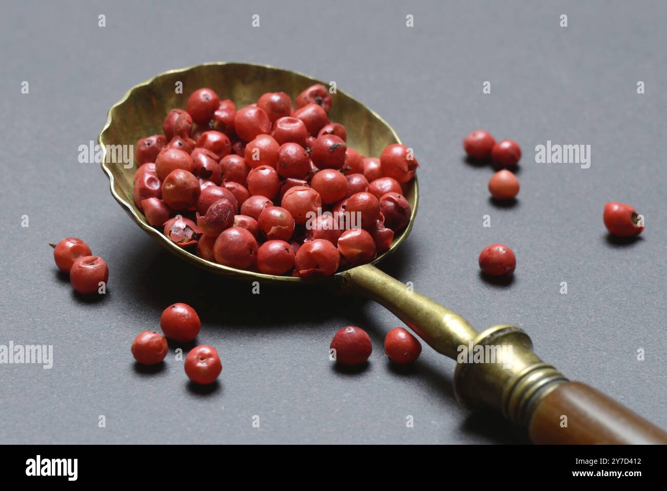 Brazilian pepper red schinus hi-res stock photography and images - Alamy