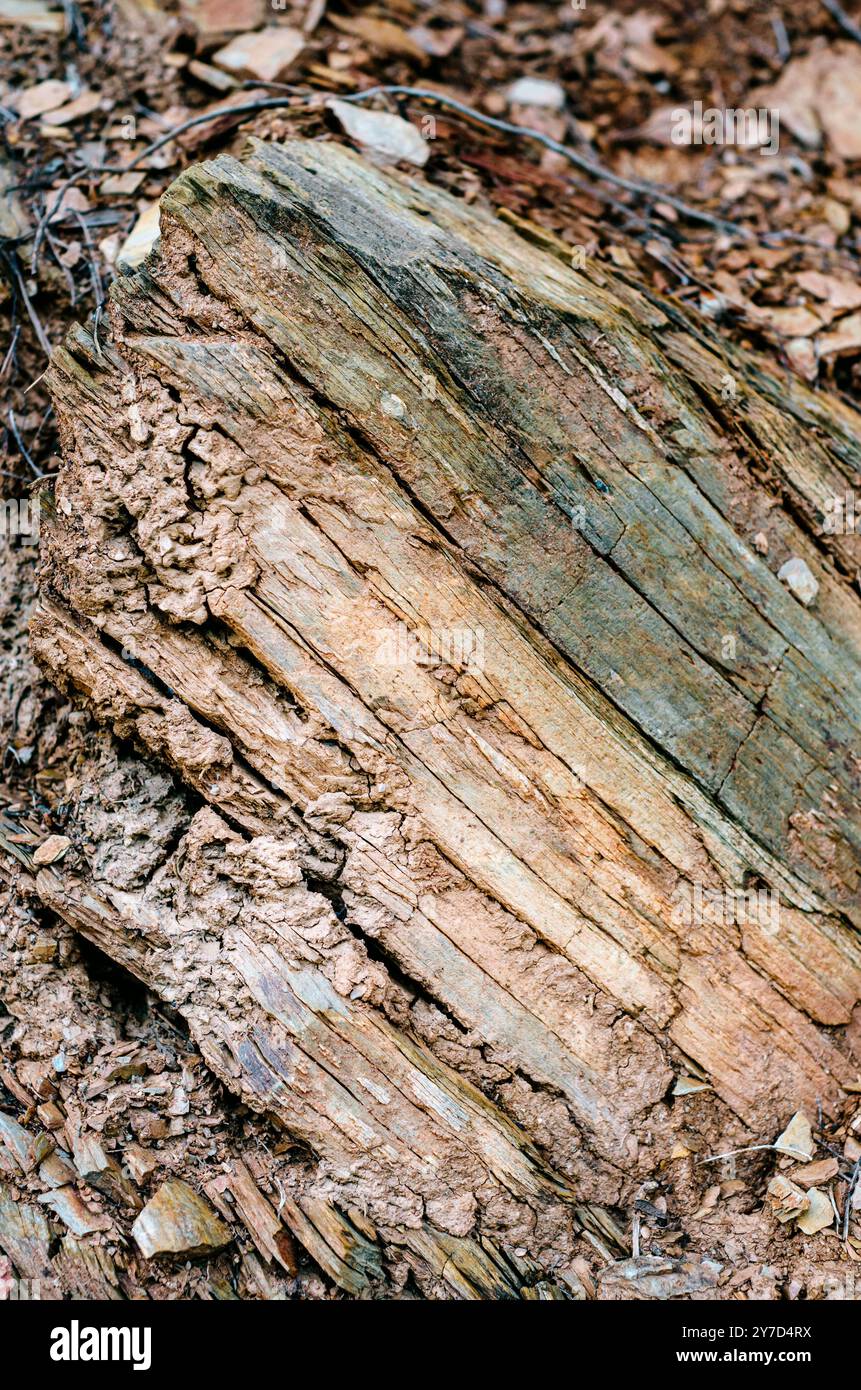 Earthbound textures hi-res stock photography and images - Alamy