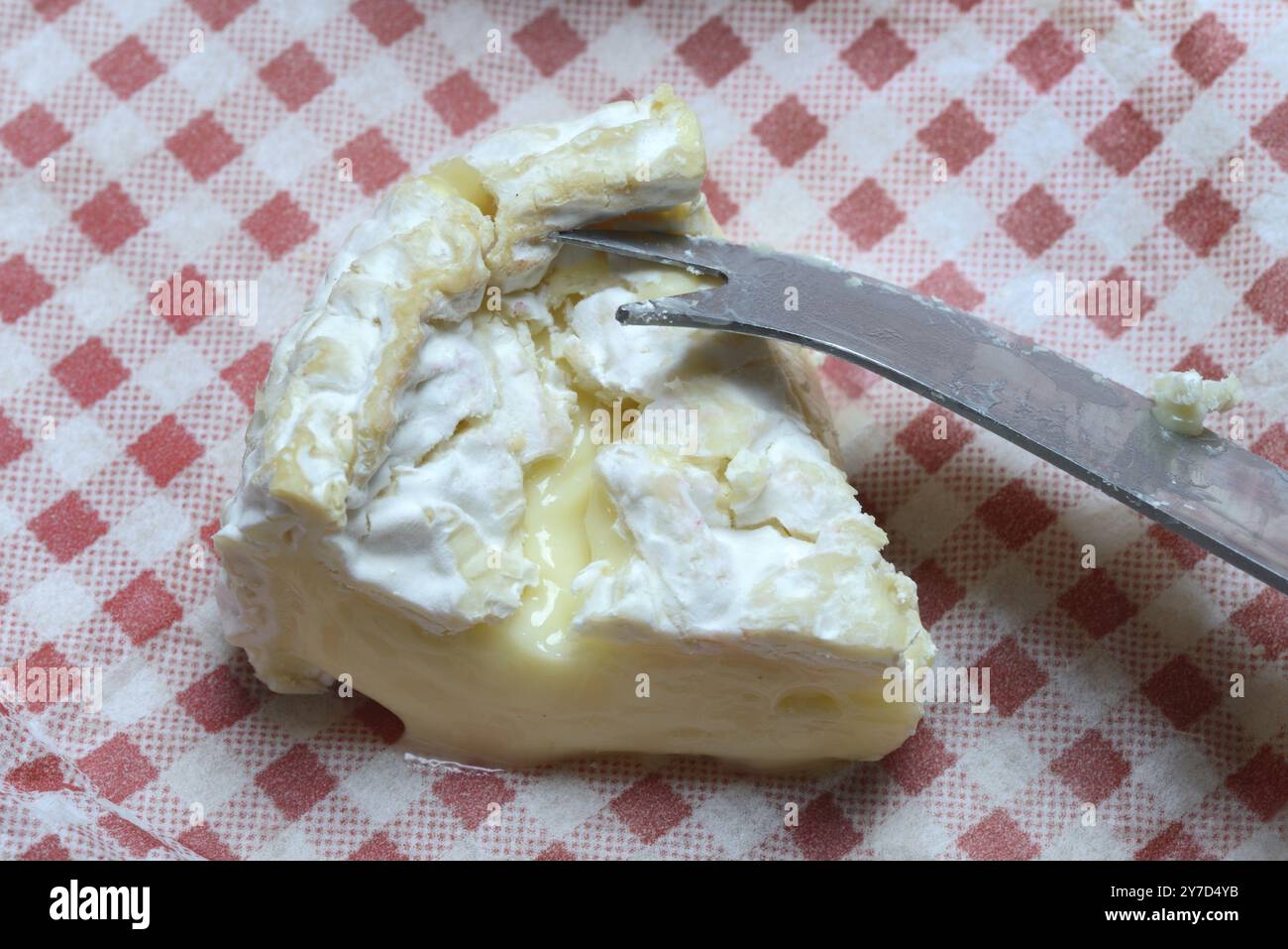 French Camembert, sliced cheese, France, Europe Stock Photo - Alamy