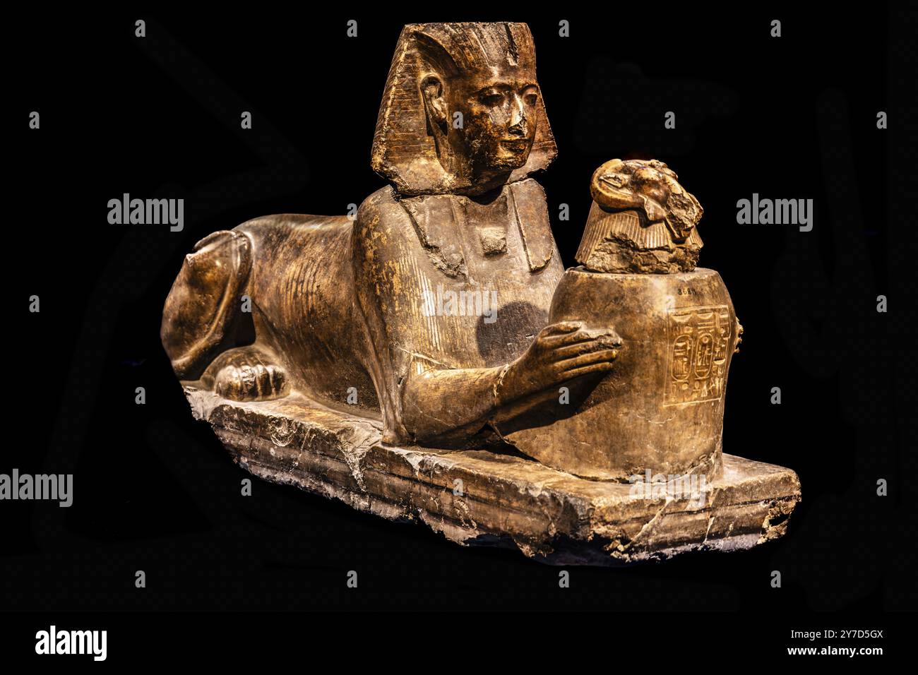Statue of Ramses II as a sphinx offering a vessel with a ram's head ...