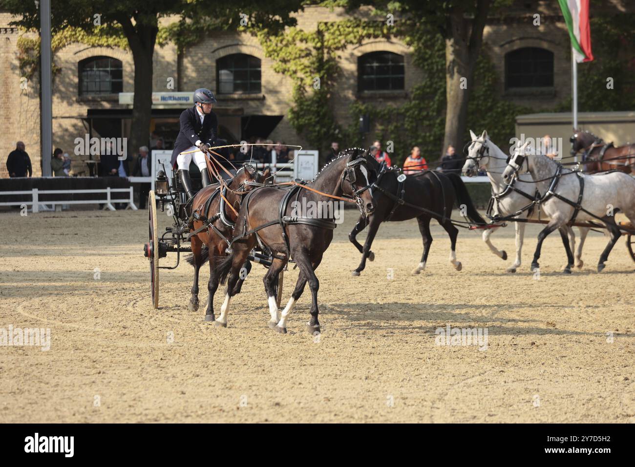 Warendorf State Stud, Stallion Parade, Various harnesses Stock Photo ...