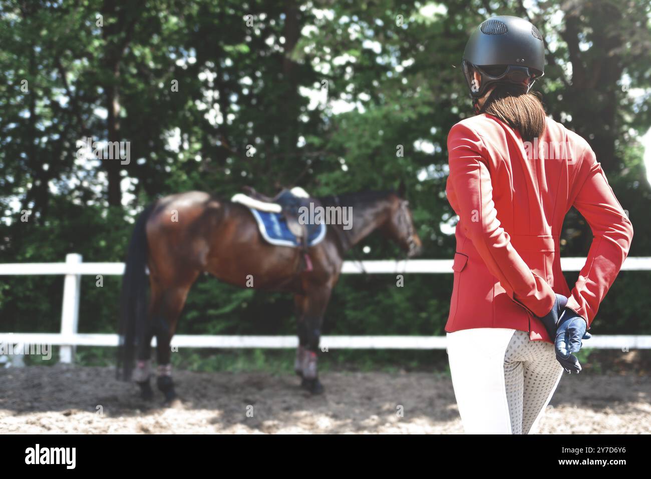 Girl rider adjusts saddle on her horse to take part in horse races ...