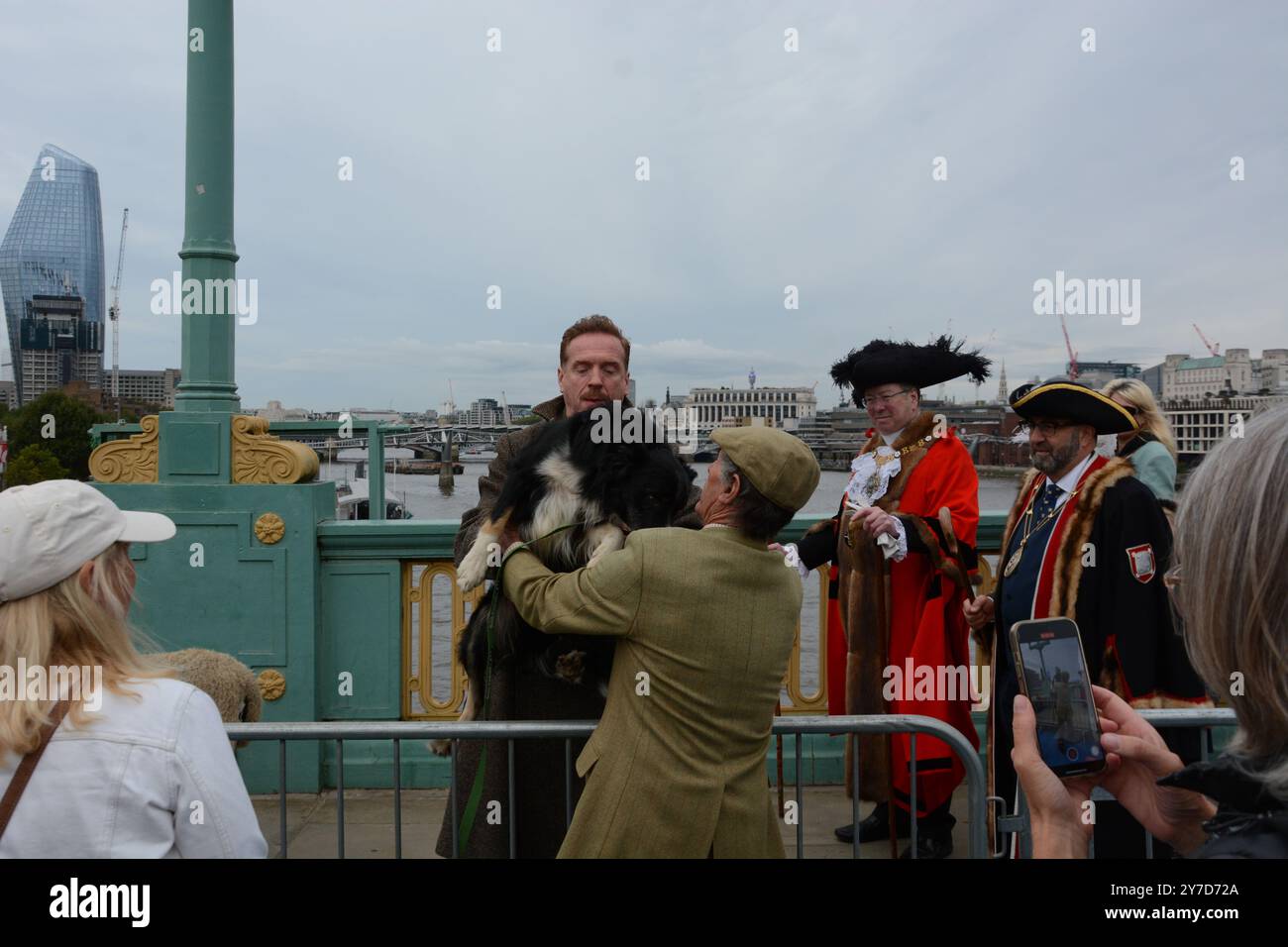 Damian Lewis shepherds sheep across Southwark Bridge in London as a ...