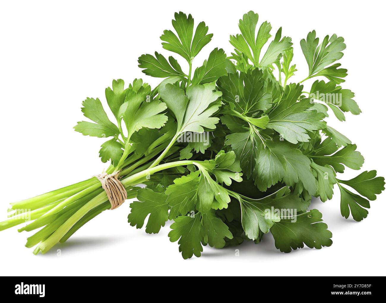 Parsley bunch isolated on white background with clipping path and full ...