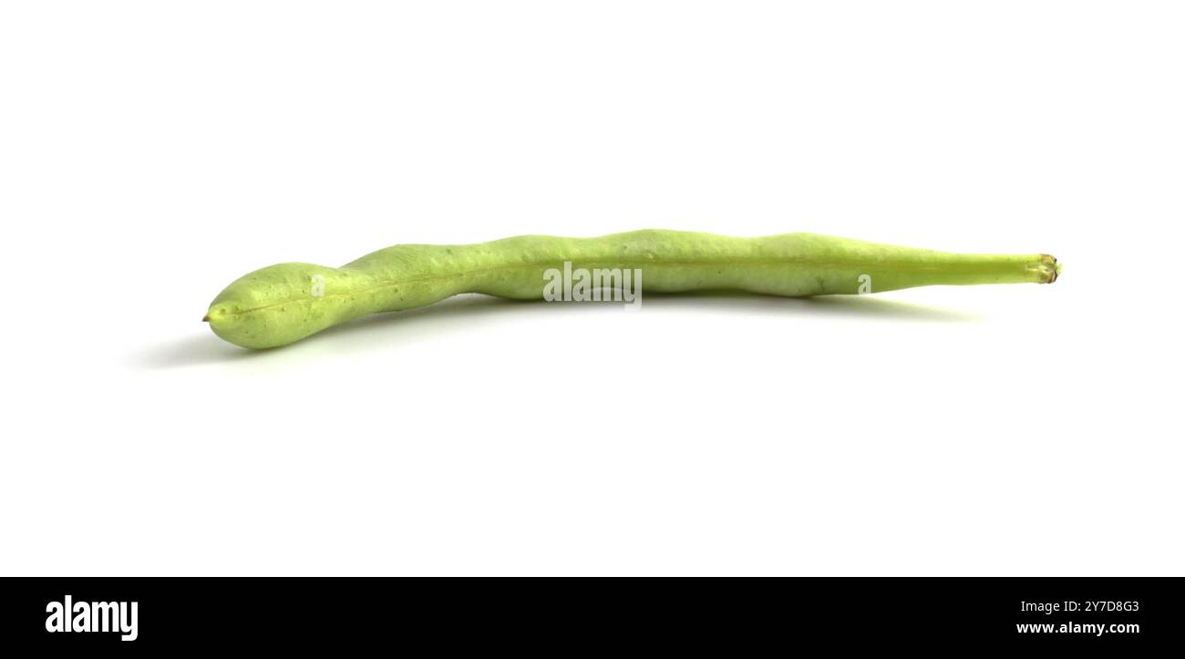 One pod of young green beans isolated on white background Stock Photo ...