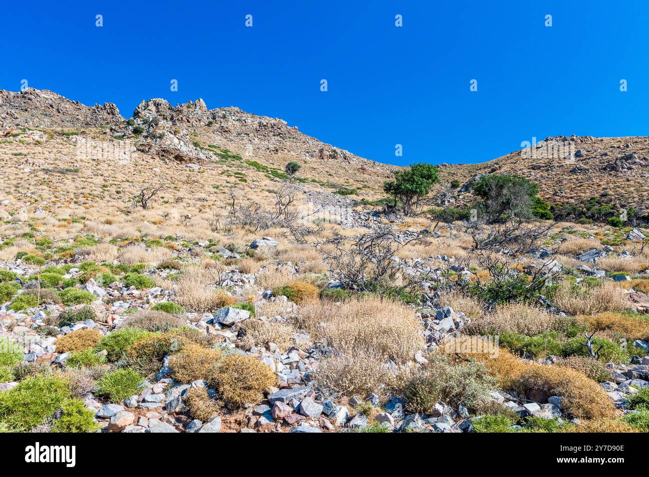 Coastal Landscape of Crete on the Route from Elafonissi Beach to ...