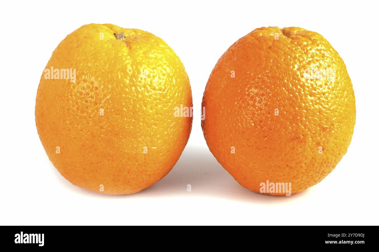 Two ripe grapefruits isolated on white background. Whole nutritious ...