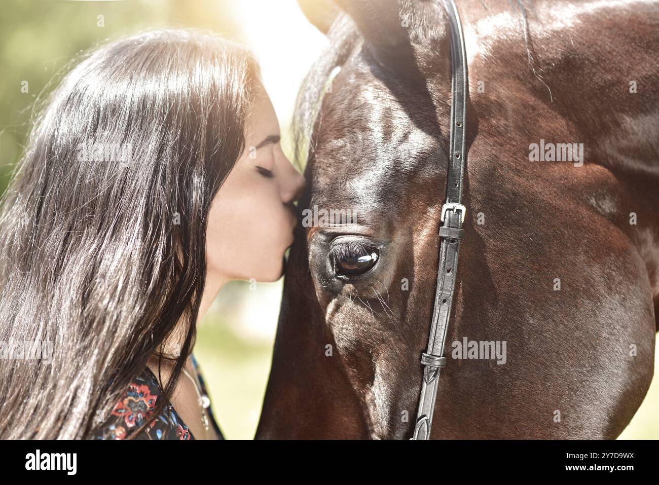 Horse and girl share an emotional moment in close up shot as they ...