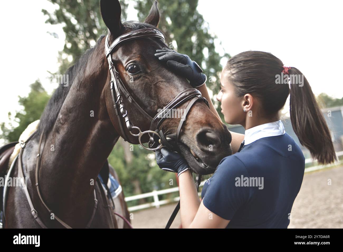 Close up hands of woman hugging a horse. Young girl petting her horse ...