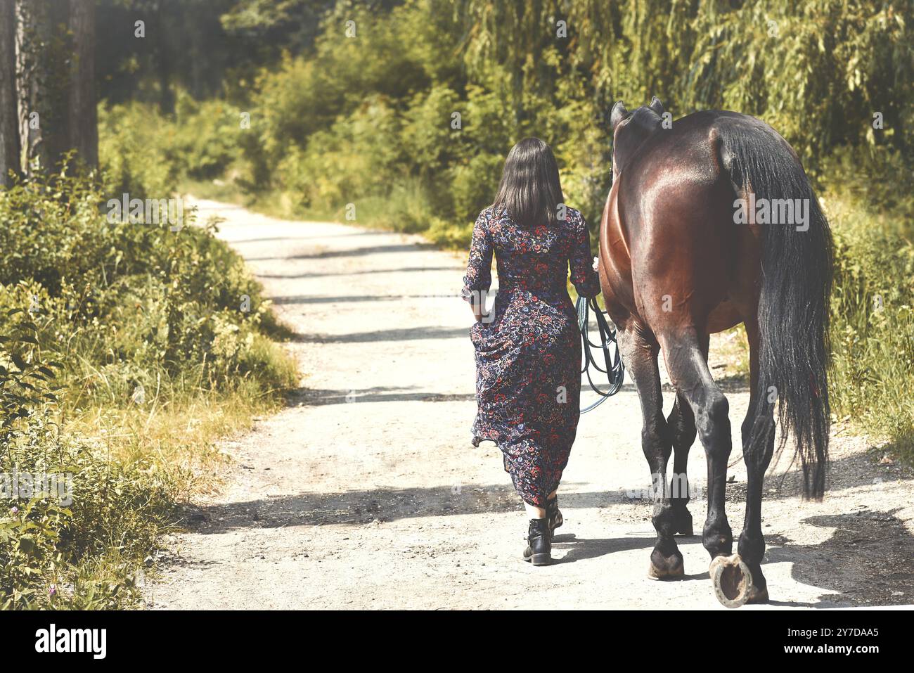 Beautiful Latin woman and her lovely horse walk in the forest. love ...
