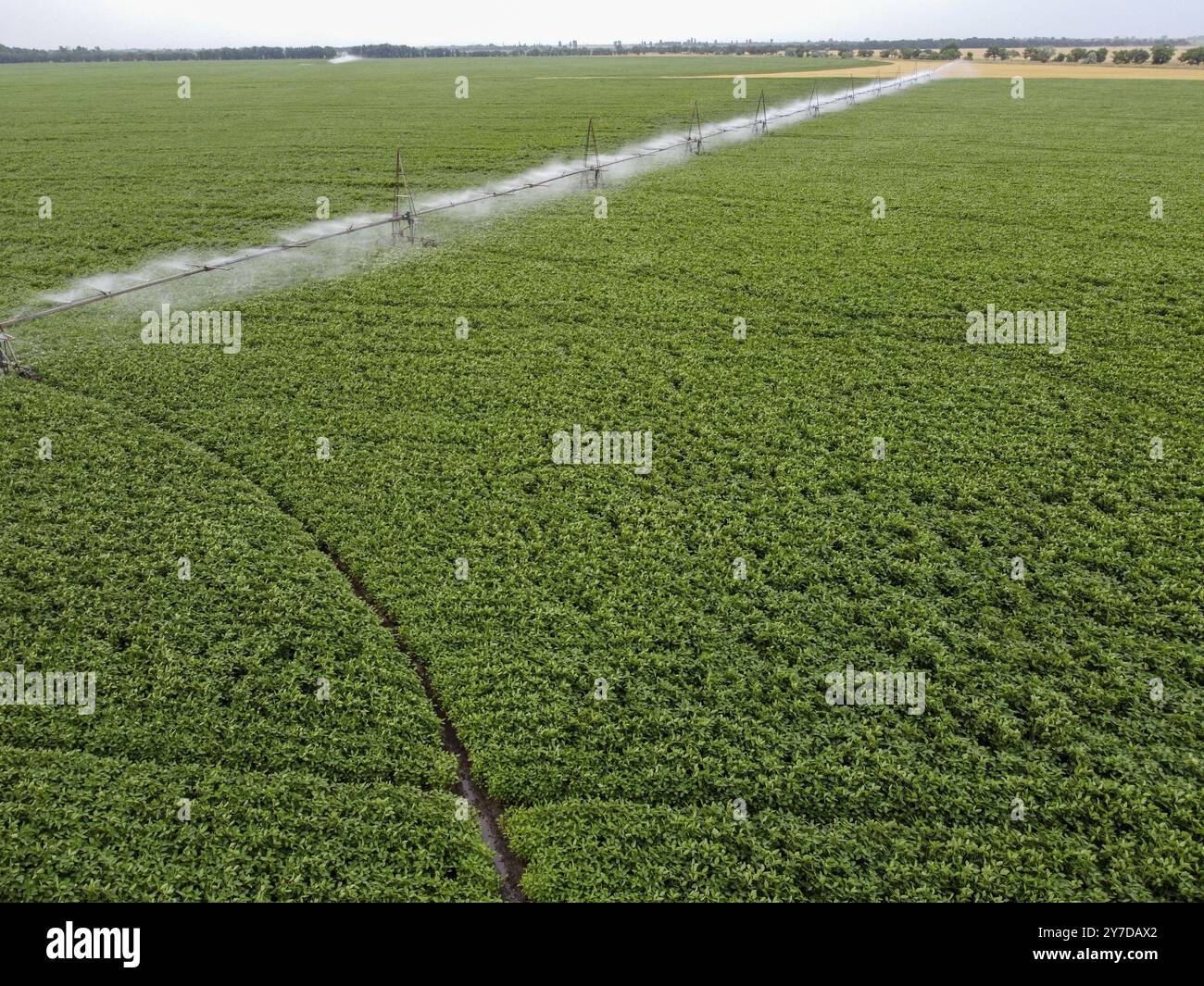 Large round field of soybeans with automatic watering, a system for ...
