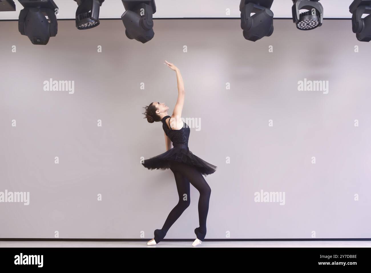 Dancer dancing dances swan hi-res stock photography and images - Alamy