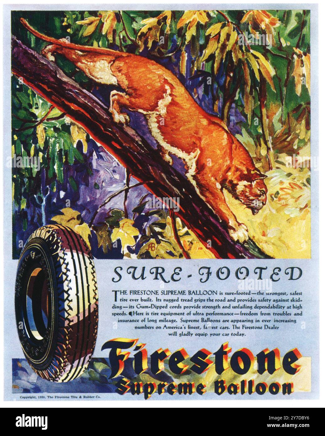 Supreme predator hi-res stock photography and images - Alamy