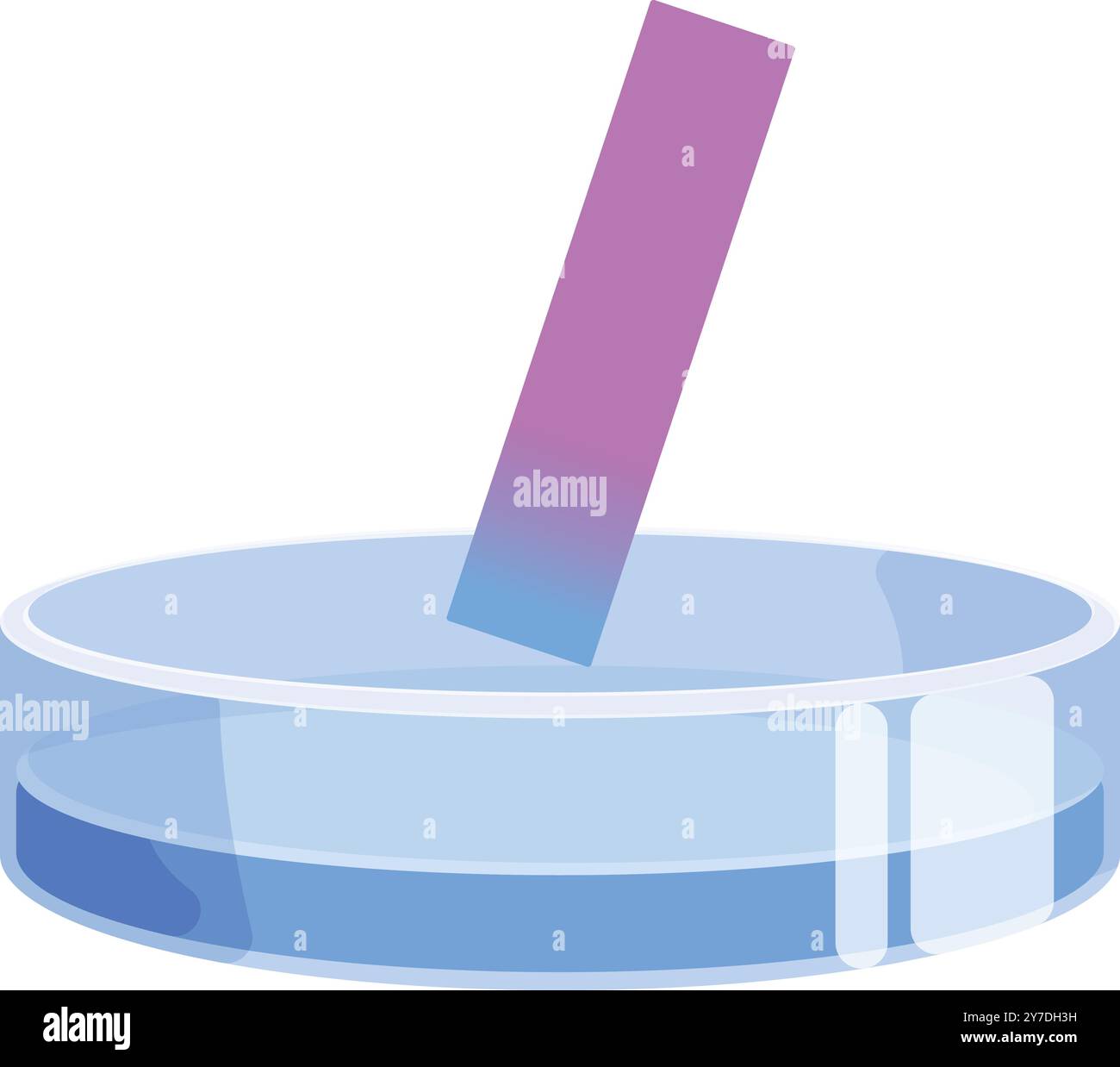 Litmus paper is dipping in blue liquid in a petri dish to test its ph ...