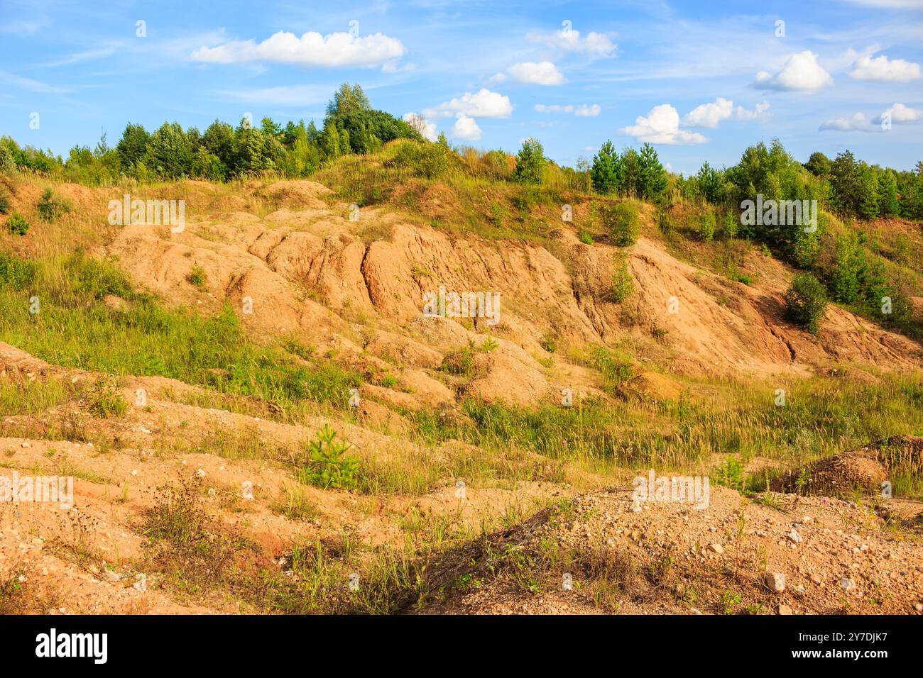 View of an old sand quarry overgrown with grass and trees Stock Photo ...