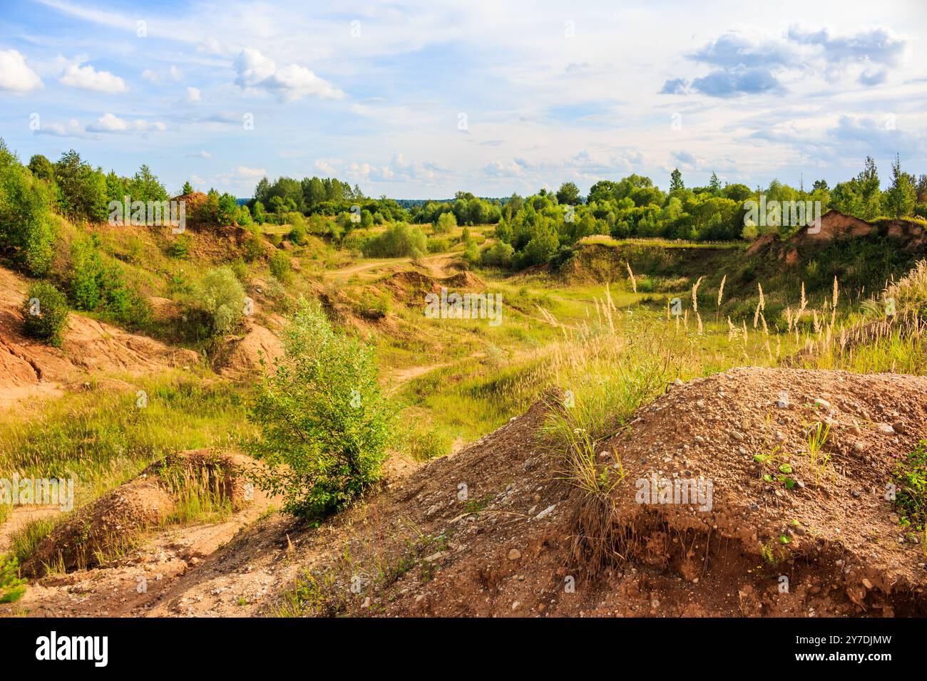 View of an old sand quarry overgrown with grass and trees Stock Photo ...