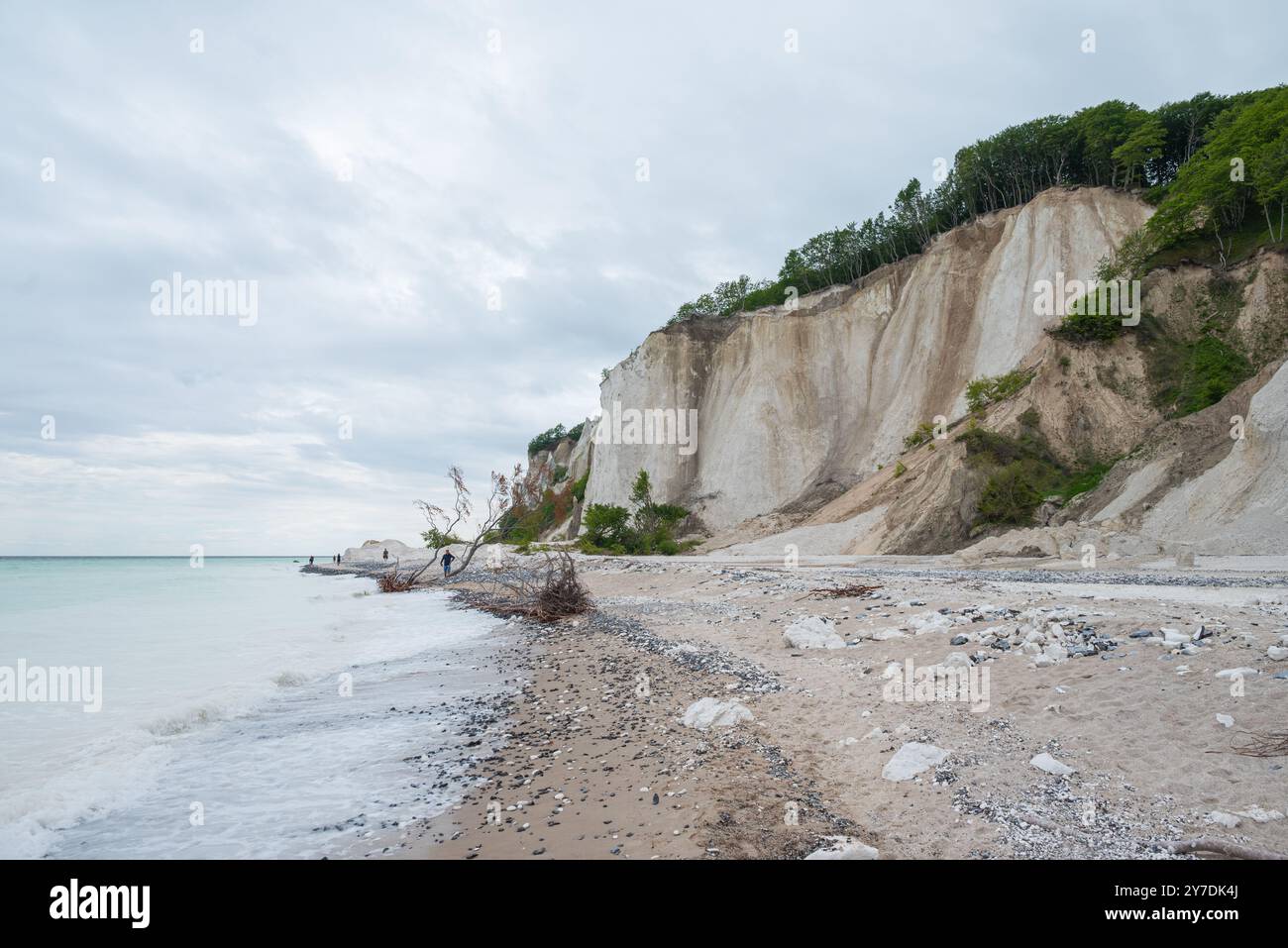 Beautiful nature of Mons Klint cliffs in Denmark Stock Photo - Alamy