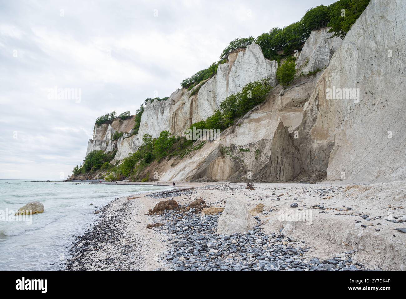 Beautiful nature of Mons Klint cliffs in Denmark Stock Photo - Alamy