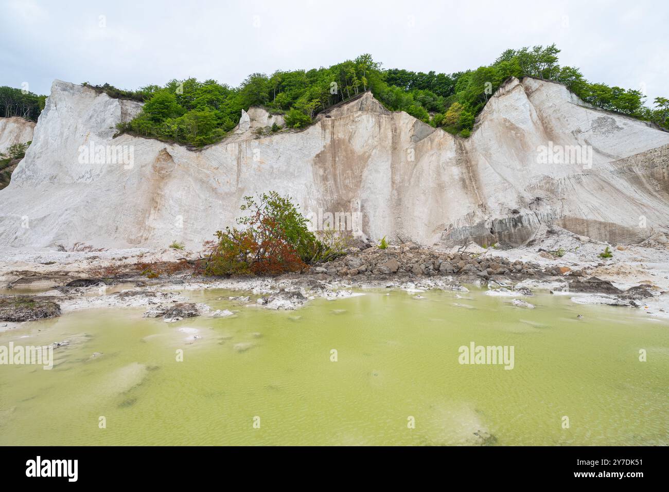 Beautiful nature of Mons Klint cliffs in Denmark Stock Photo - Alamy