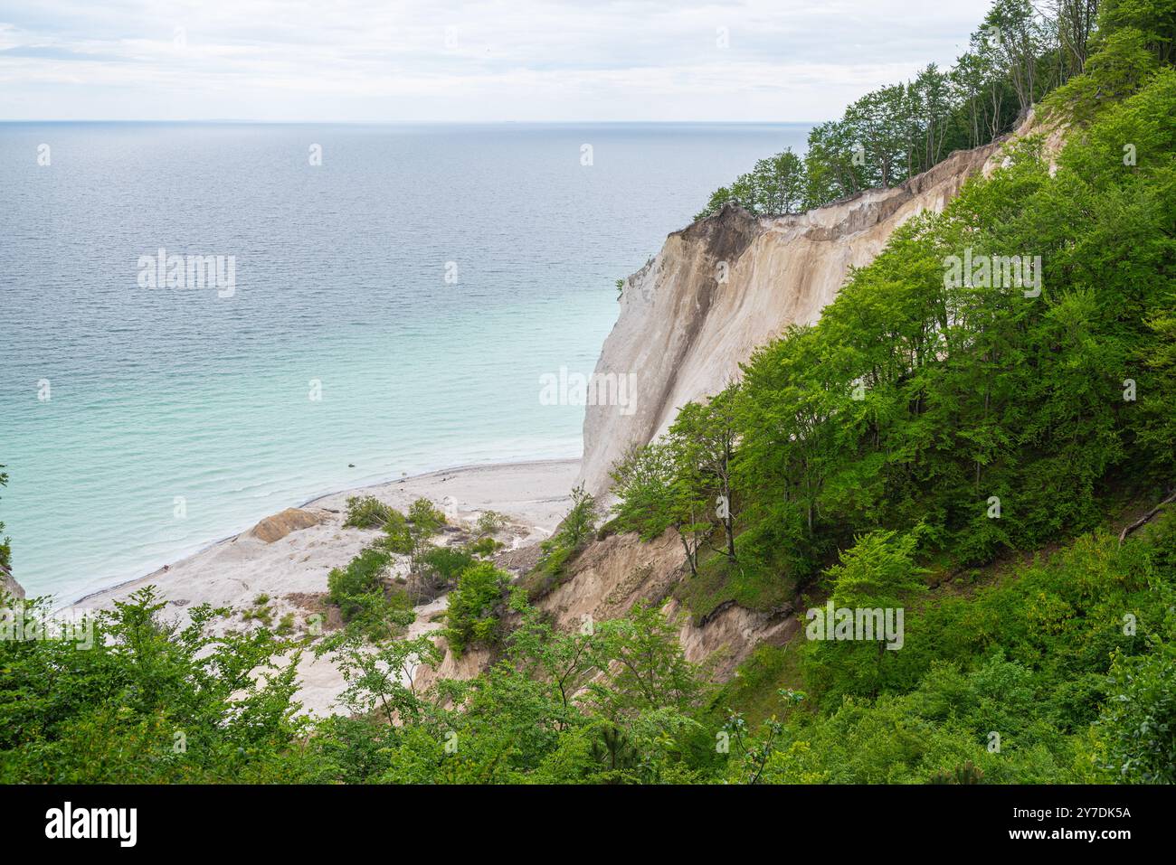Beautiful nature of Mons Klint cliffs in Denmark Stock Photo - Alamy