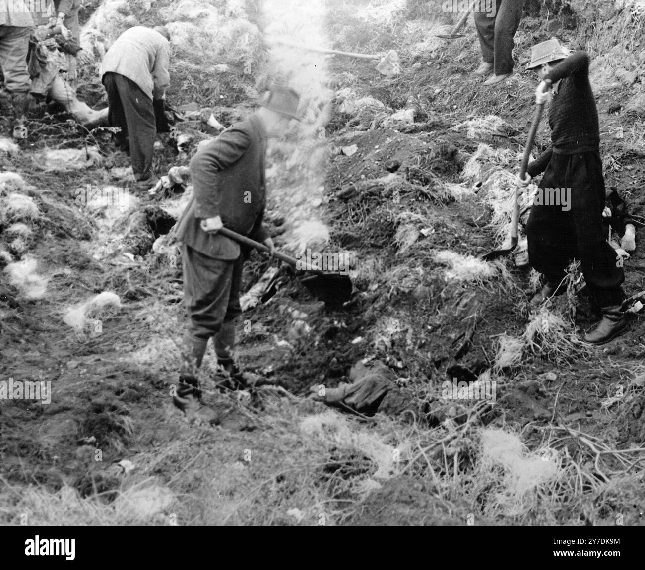 German civilians from Schwarzenfeld exhume the bodies of 140 Hungarian ...