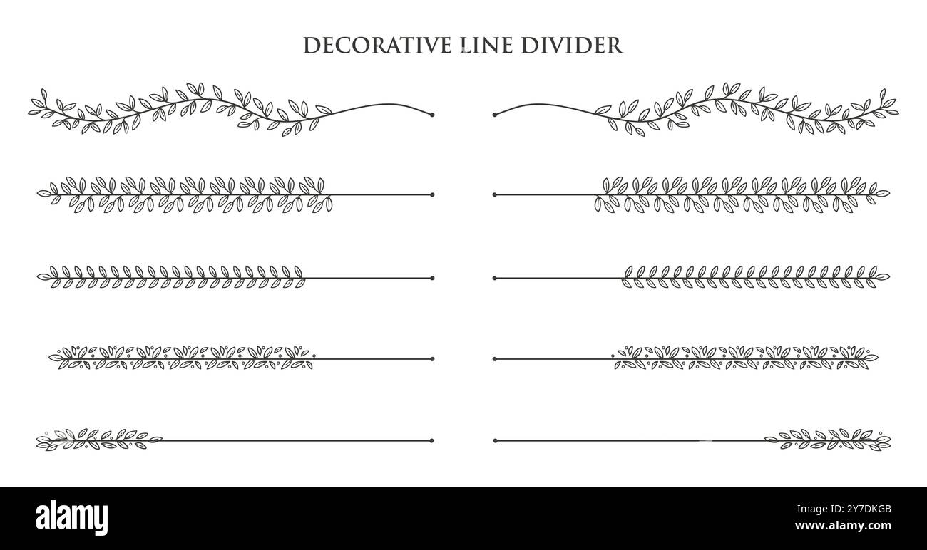 Hand - drawn nature floral vine line divider for text layout separator ...