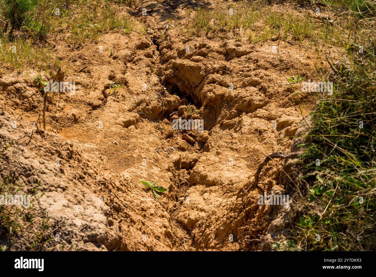 Top-down view of a rain-eroded sand slope Stock Photo - Alamy