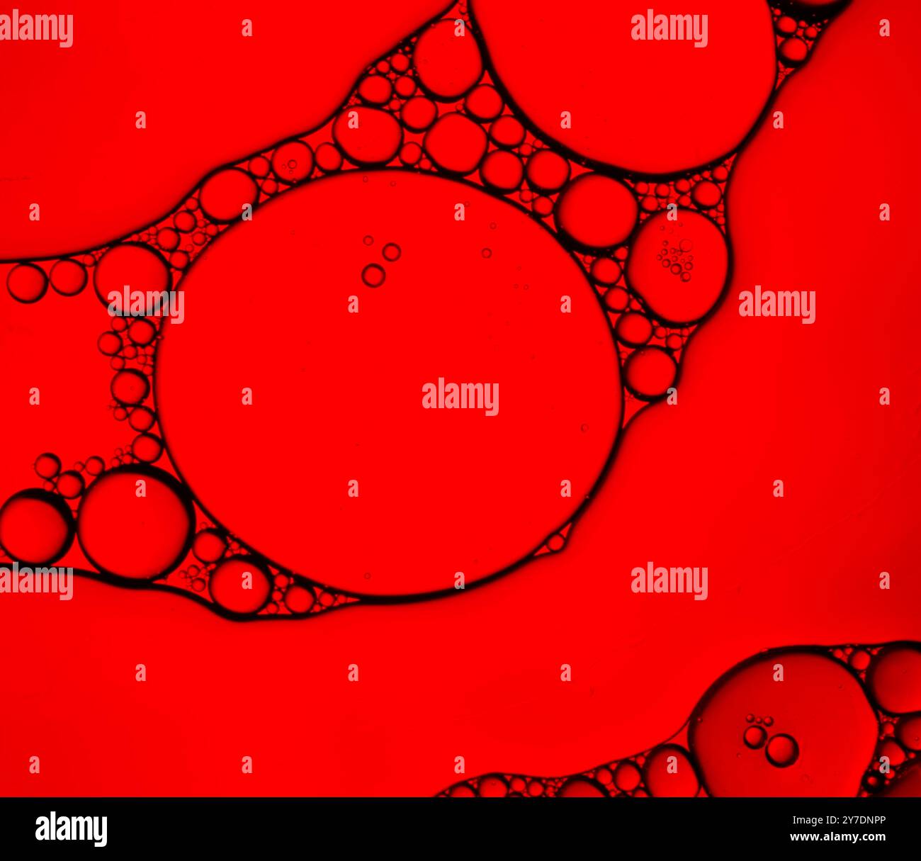 Interconnected abstract art hi-res stock photography and images - Alamy