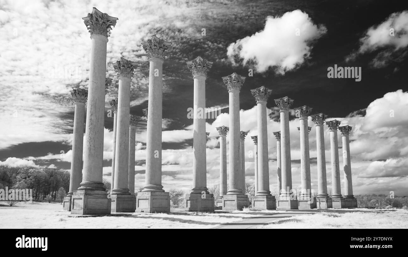 Orignial U.S. Capitol columns transferred to the National Arboretum in ...