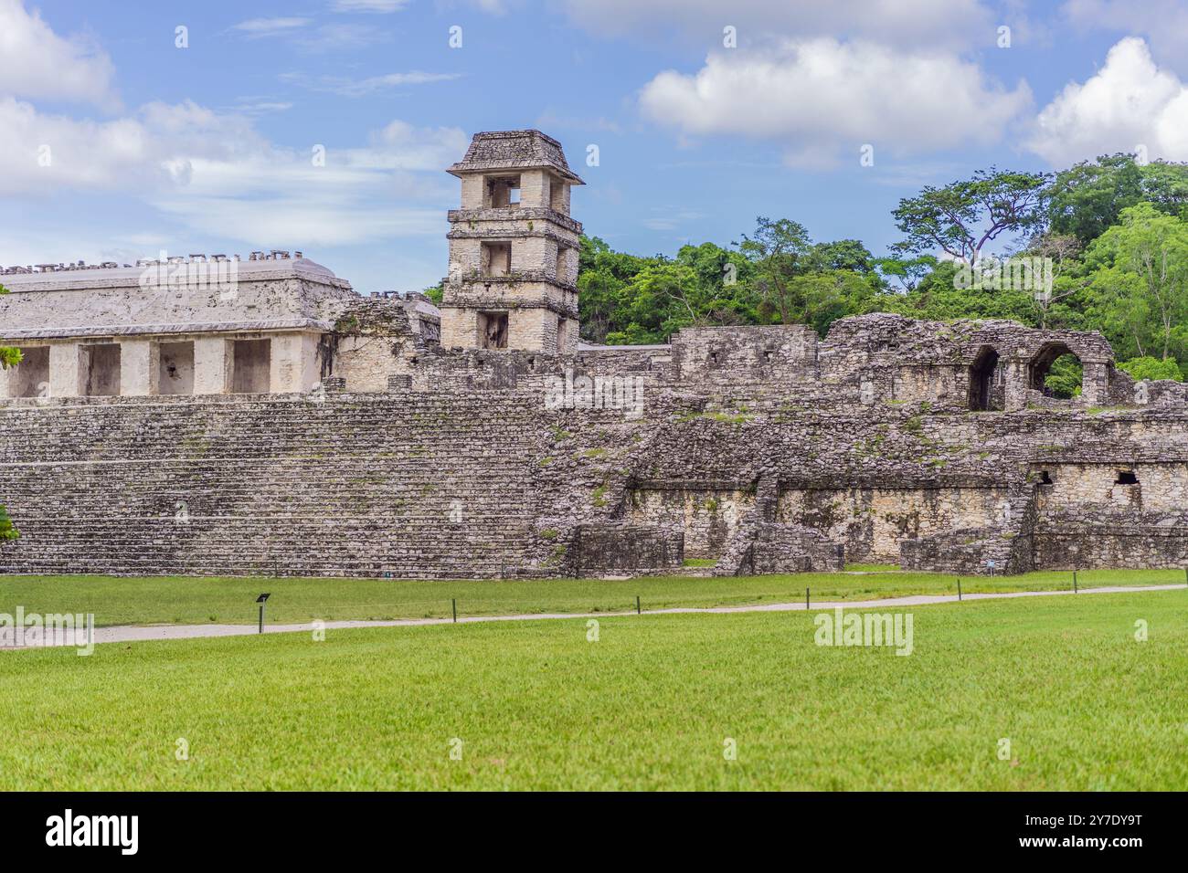 The ancient pyramids of Palenque in Mexico, surrounded by lush jungle ...
