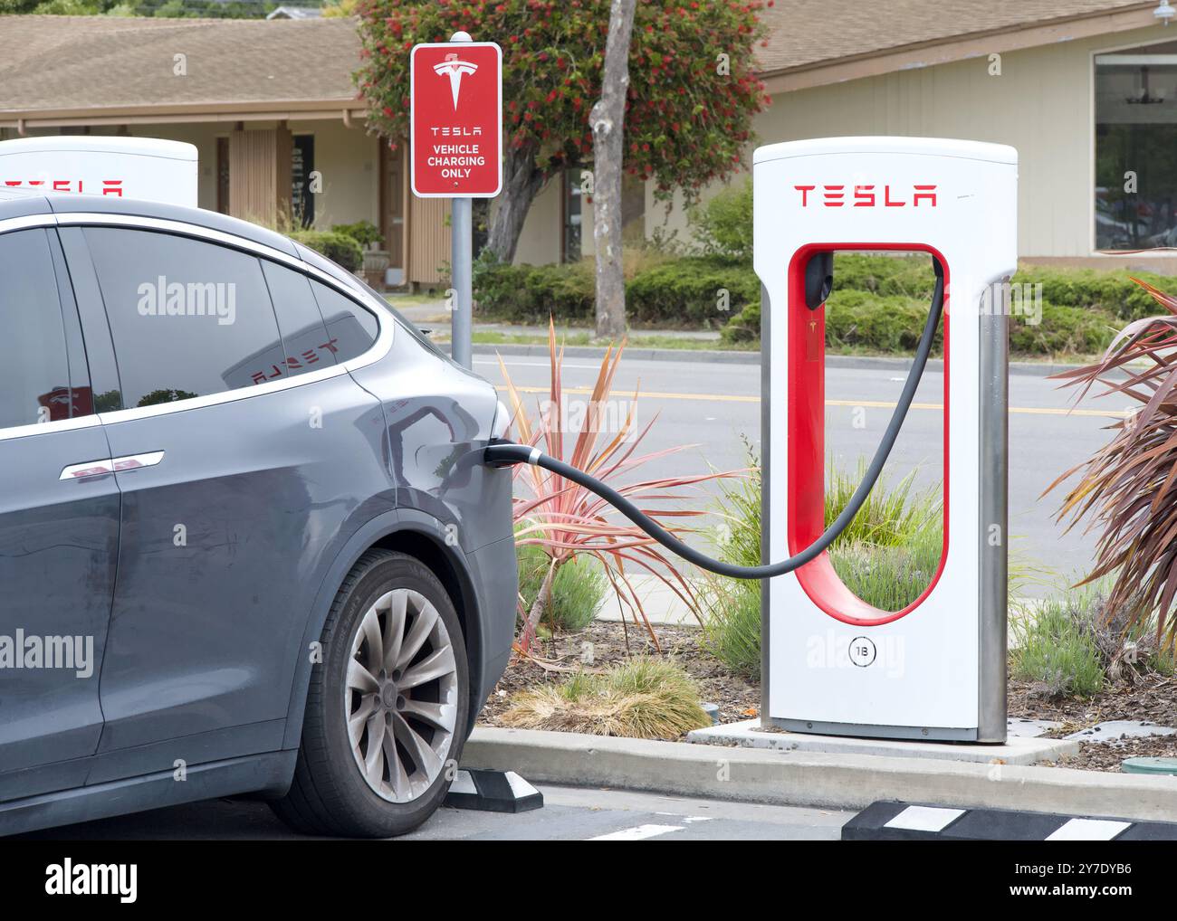 Alameda, CA - May 25, 2024: Close up on Tesla Supercharging station ...