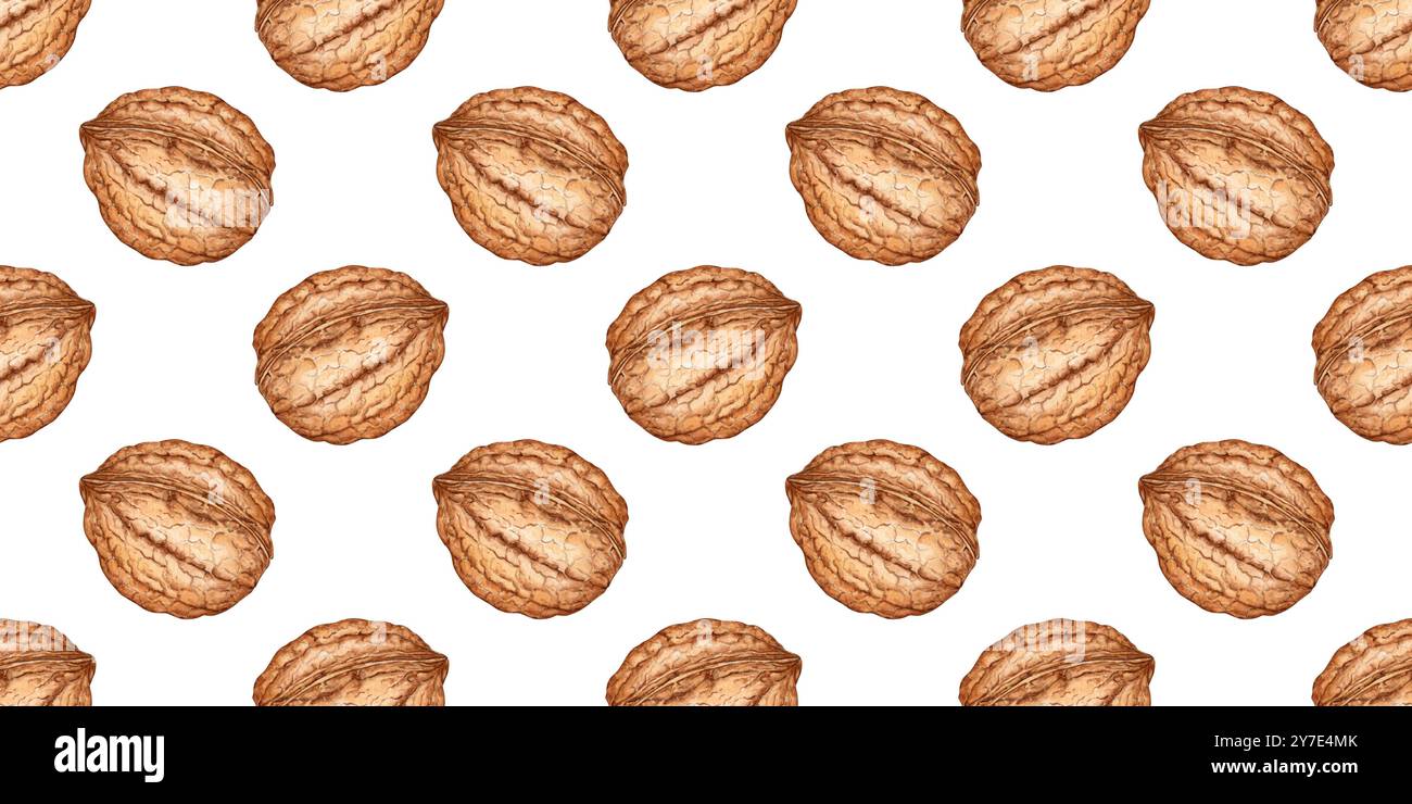 Whole walnut pattern watercolor illustration isolated from background ...