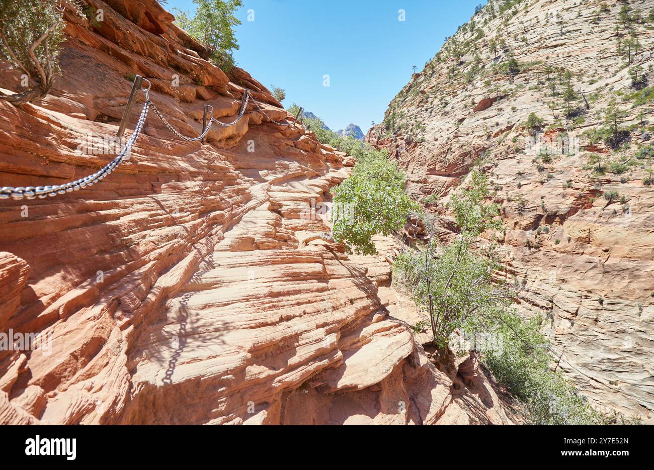 Zion National Park's Angels Landing is one of America's most thrilling ...