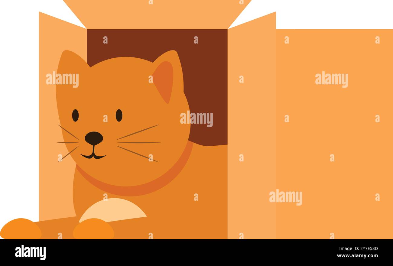 Cute ginger cat is lying in a cardboard box and looking curious Stock ...