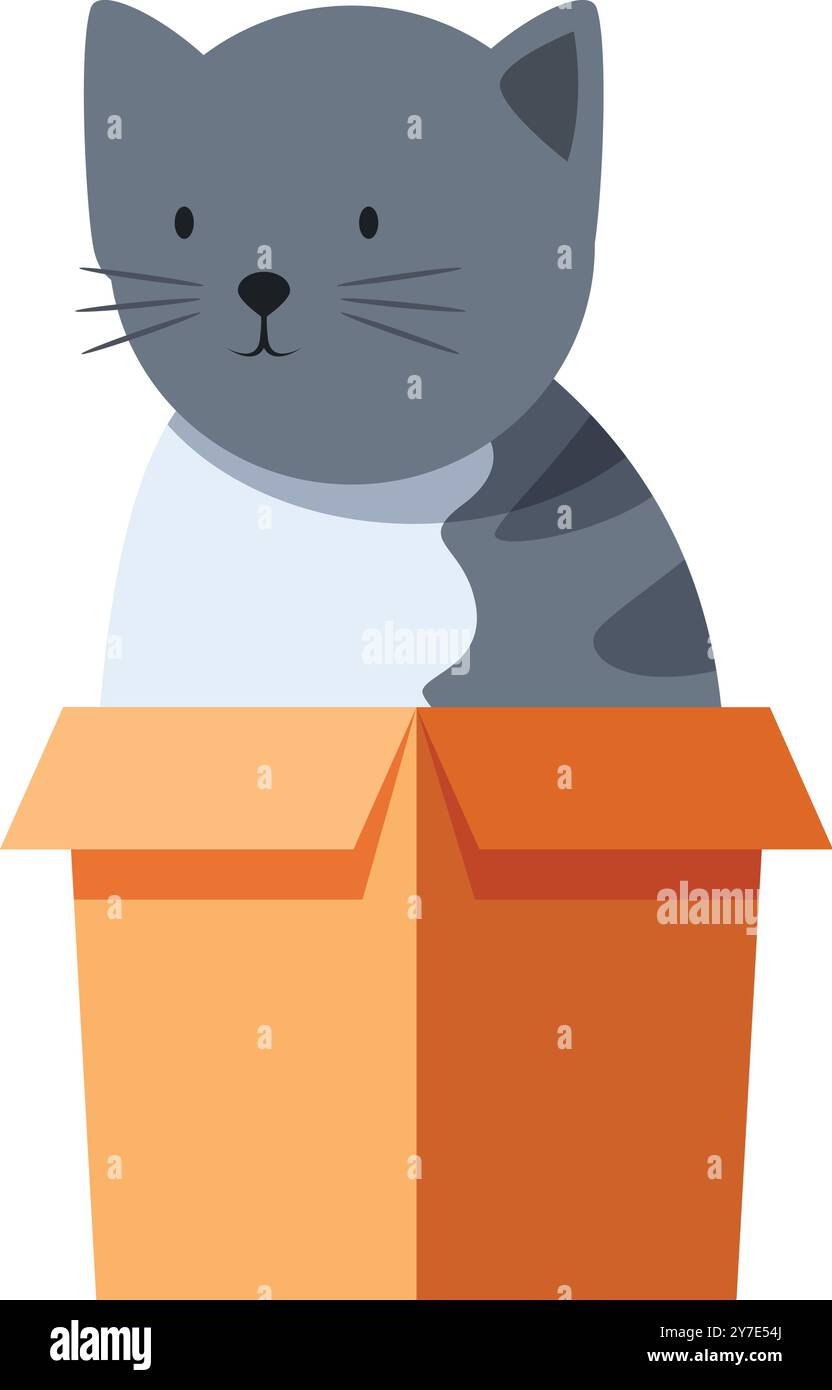 Grey tabby cat with white chest sitting inside open cardboard box Stock ...