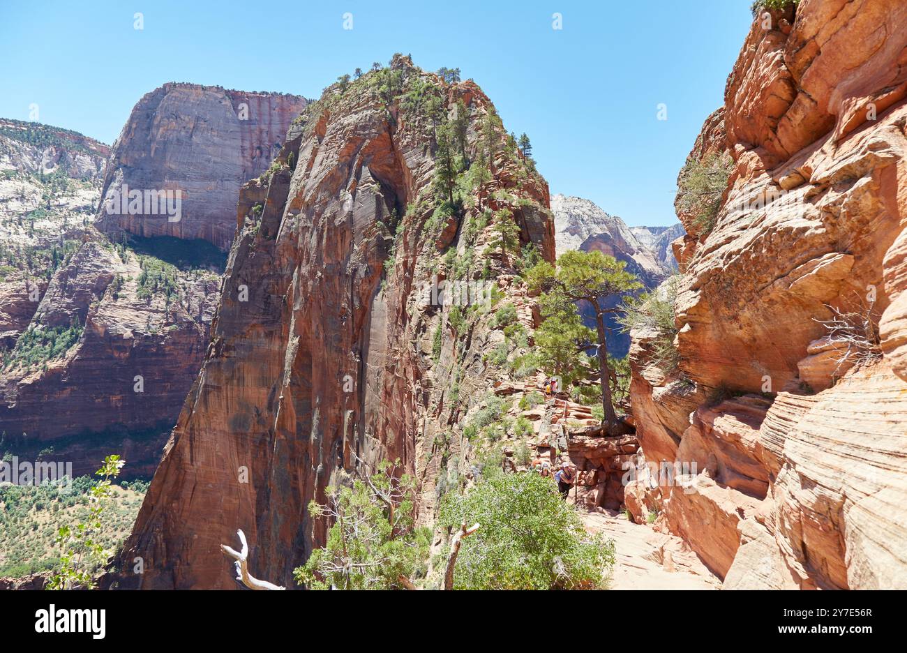 Zion National Park's Angels Landing is one of America's most thrilling ...