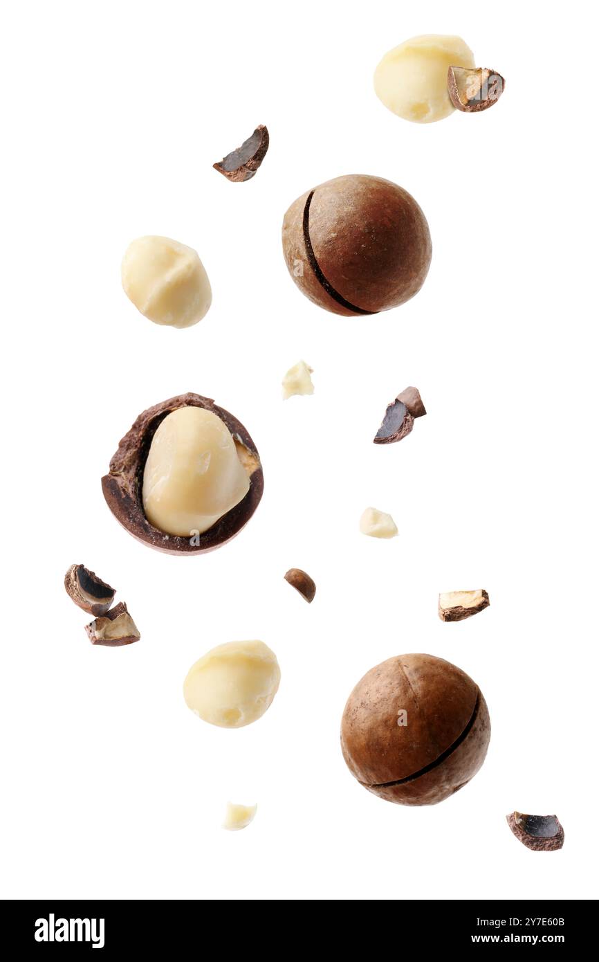 Macadamia nuts and crushed shells in air on white background Stock ...