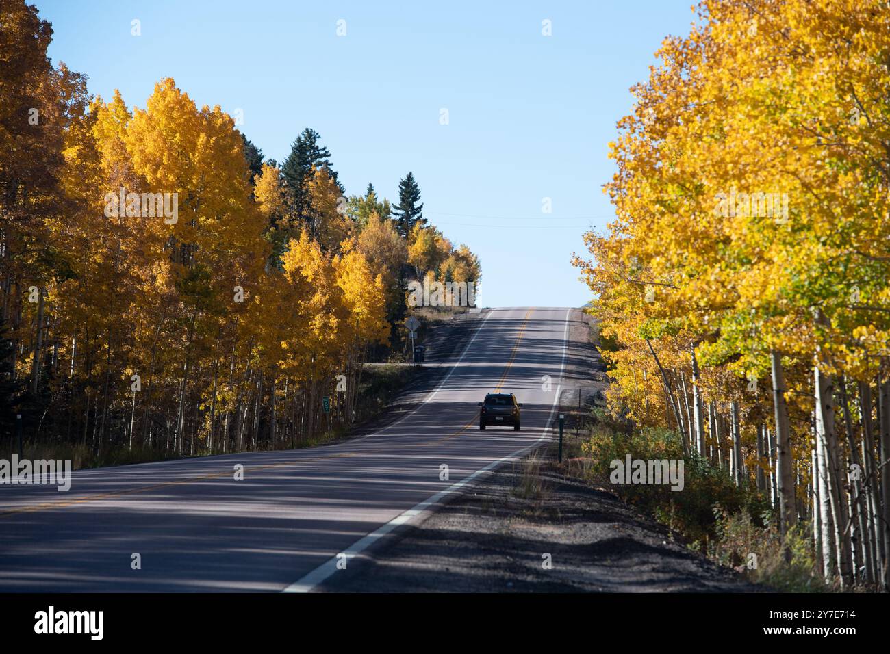 Colorado Highways, surrounded by fall colors with aspen trees near ...