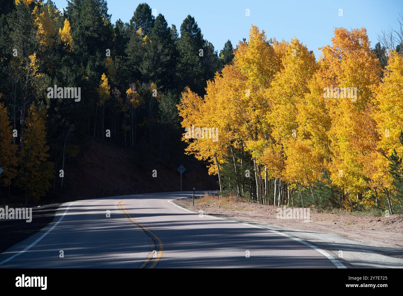 Colorado Highways, surrounded by fall colors with aspen trees near ...