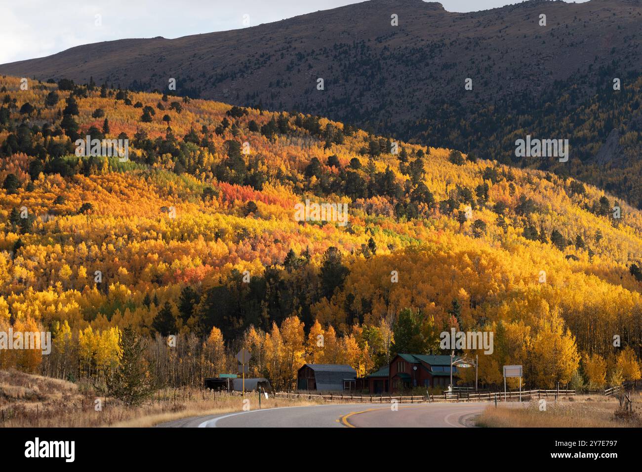 Fall colors with aspen trees near Pikes Peak, Colorado, Sept. 25 and 27 ...