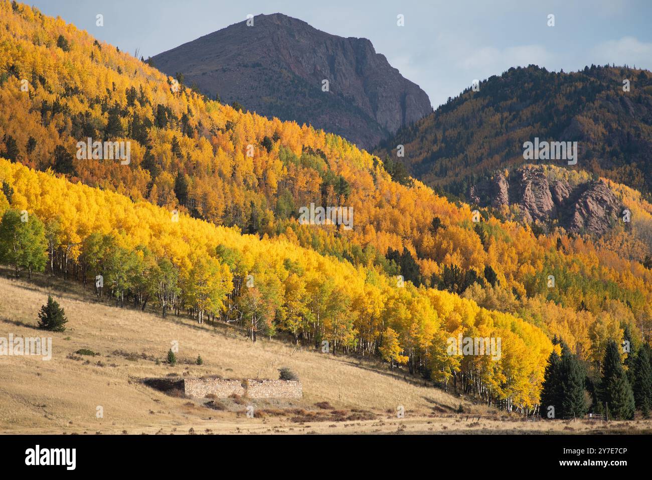 Fall colors with aspen trees near Pikes Peak, Colorado, Sept. 25 and 27 ...
