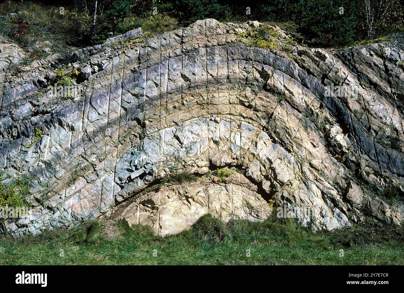 Road Cut Showing Anticline, Remnant Drill Marks from Explosive Road Cut ...