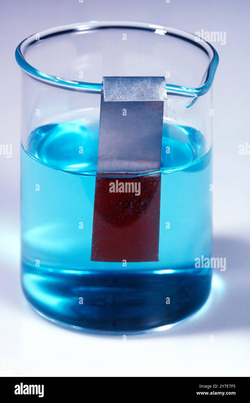 Zinc Strip in Copper Sulfate Solution, series of two, 2 of 2 Stock ...