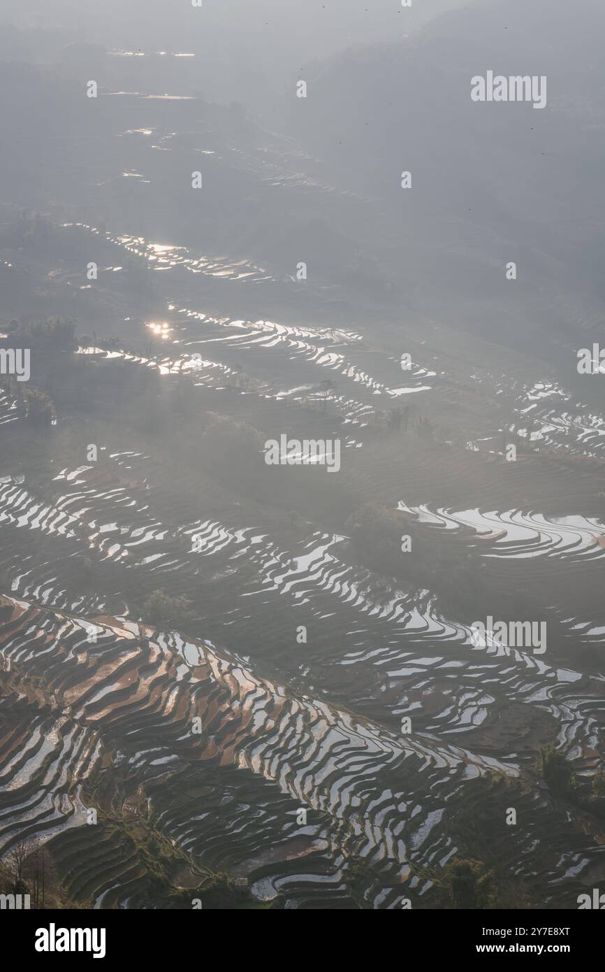 Vertical image of beautiful setting sun light above Bada Rice terraces ...
