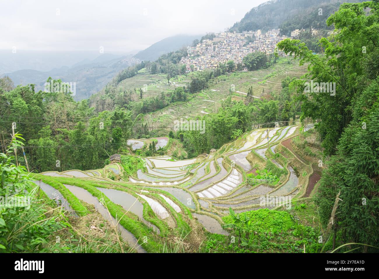 The slope with the rice terraces and the village on the top of the ...