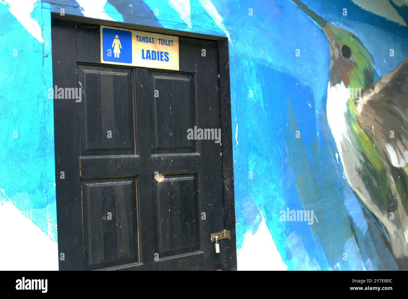 Hummingbird painted mural, Kinabatangan, Sabah, Malaysia Stock Photo ...