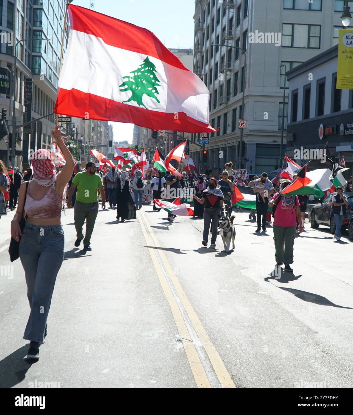 September 29, 2024, Hands Off Lebanon, Los Angeles, California Pershing ...