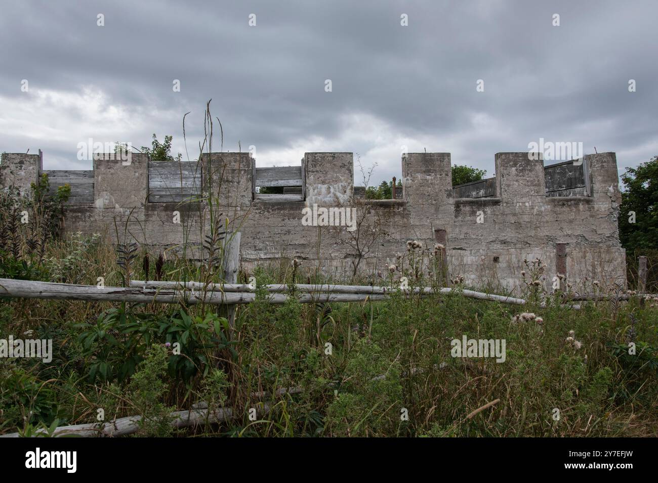 Concrete crenellated wall on Quigleys Line in Wabana, Bell Island ...