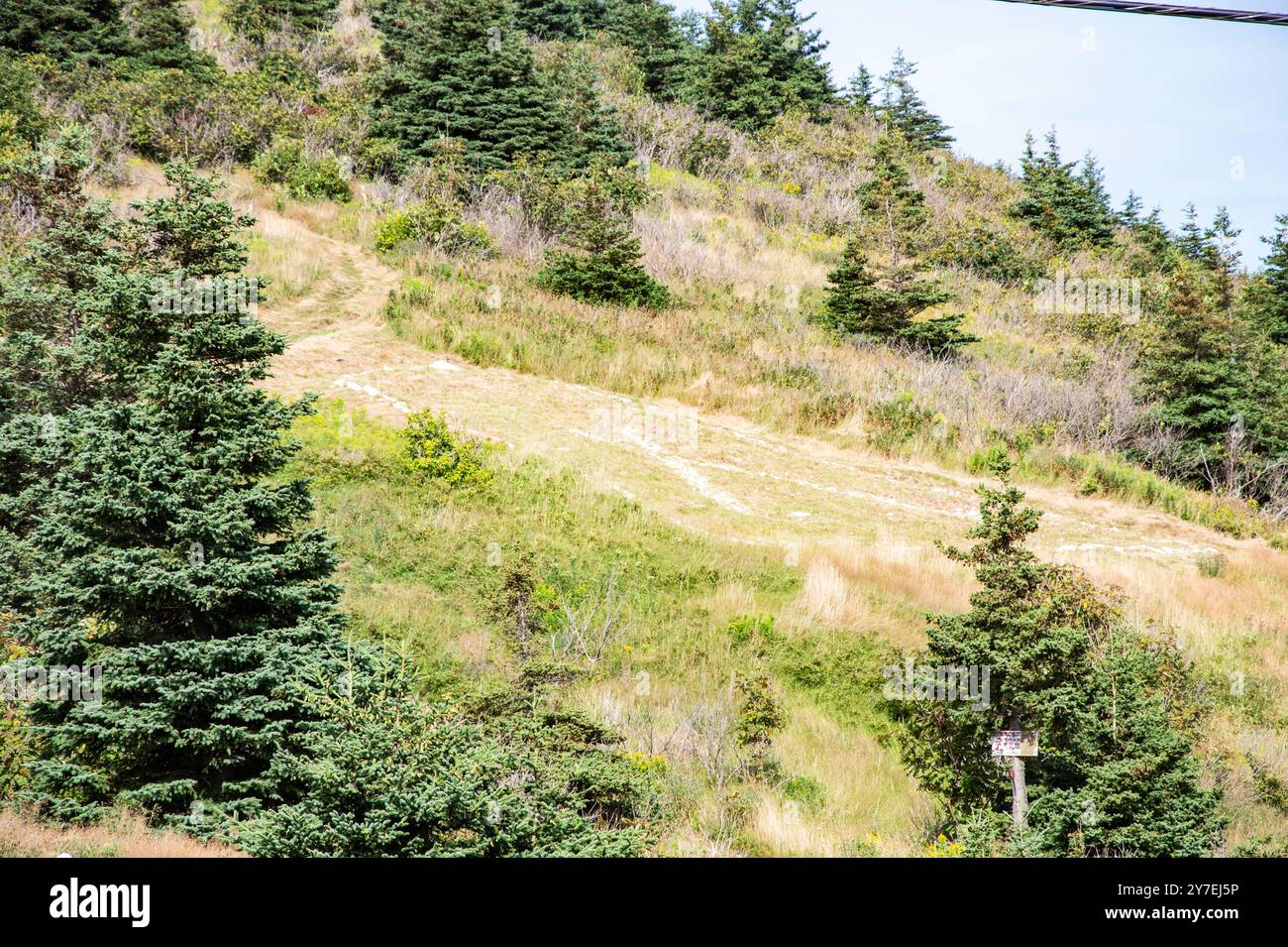 Bell mural in the grass on Beach Hill by the ferry terminal in Wabana ...